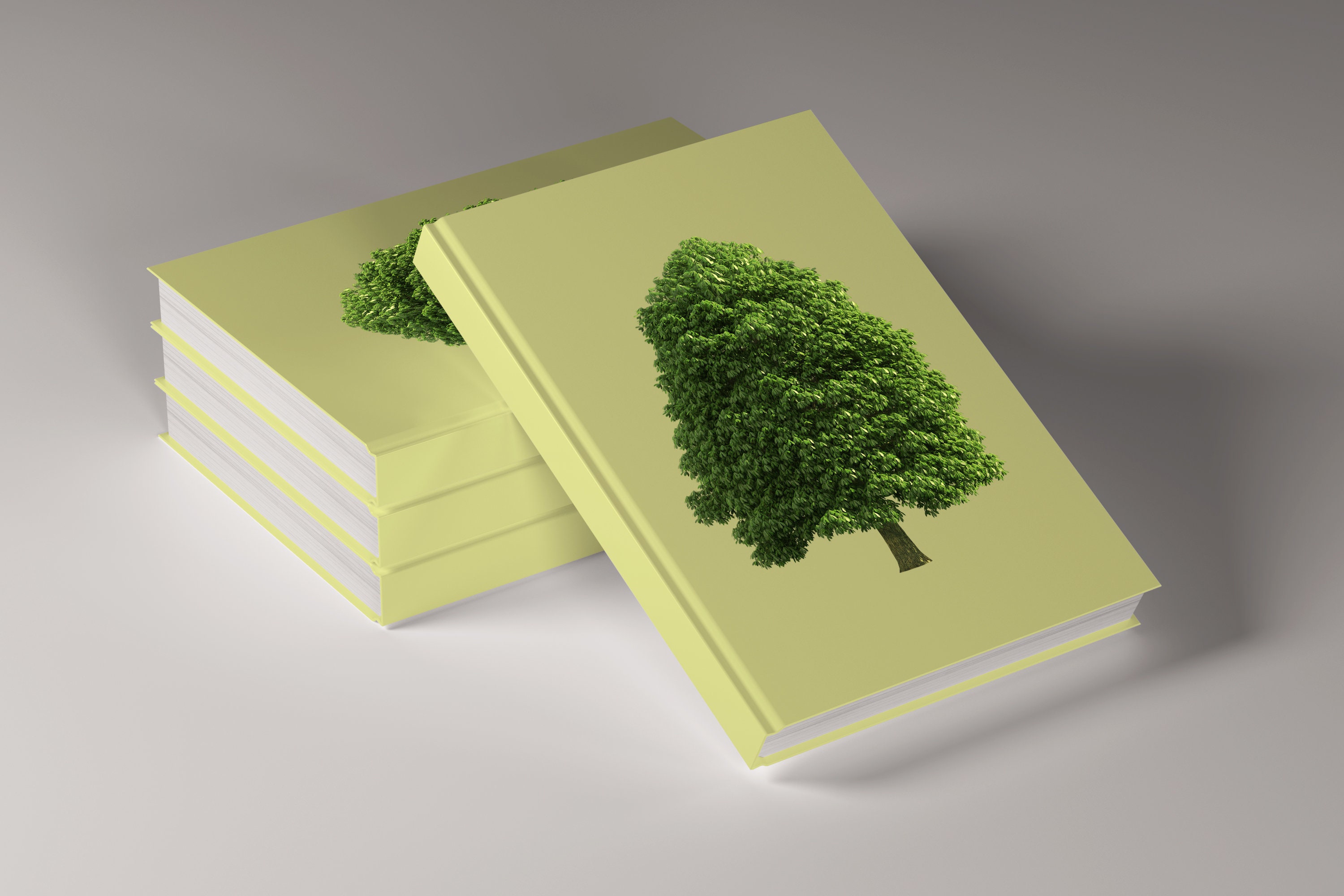 Real Chestnut Tree Cliparts, Photoshop Trees Overlay Png, Realistic ...