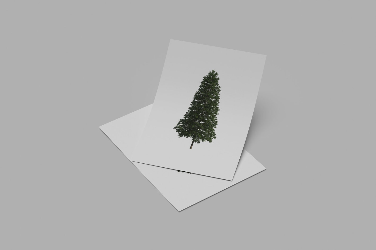 Real Tree Cliparts, Incense Cedar Tree Photoshop Overlay Png, Realistic ...