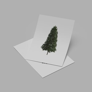 Real Tree Cliparts, Incense Cedar Tree Photoshop Overlay Png, Realistic ...