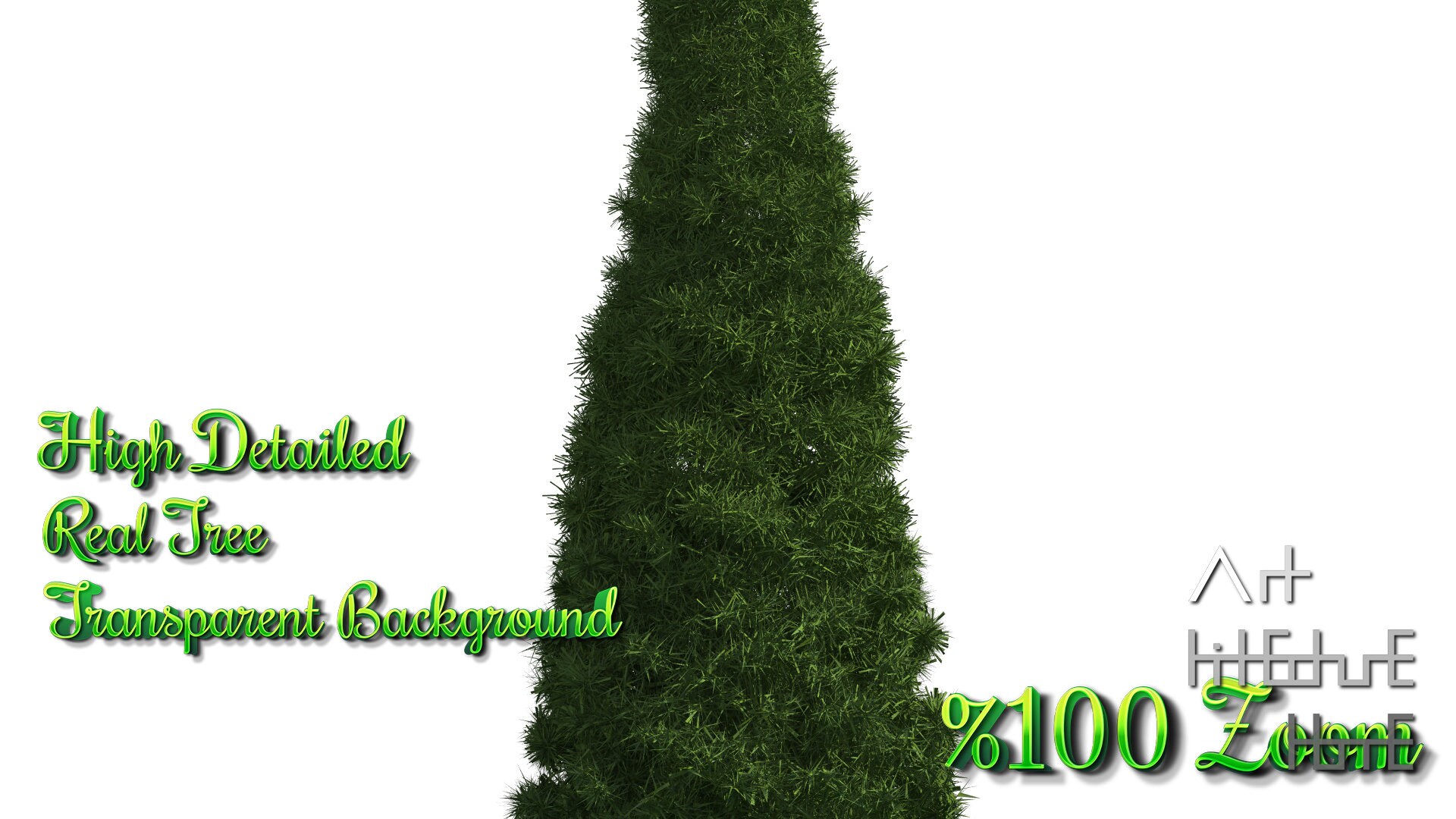 Real Tree Cliparts, Arborvitae Photoshop Overlays, Winter Tree Layout ...