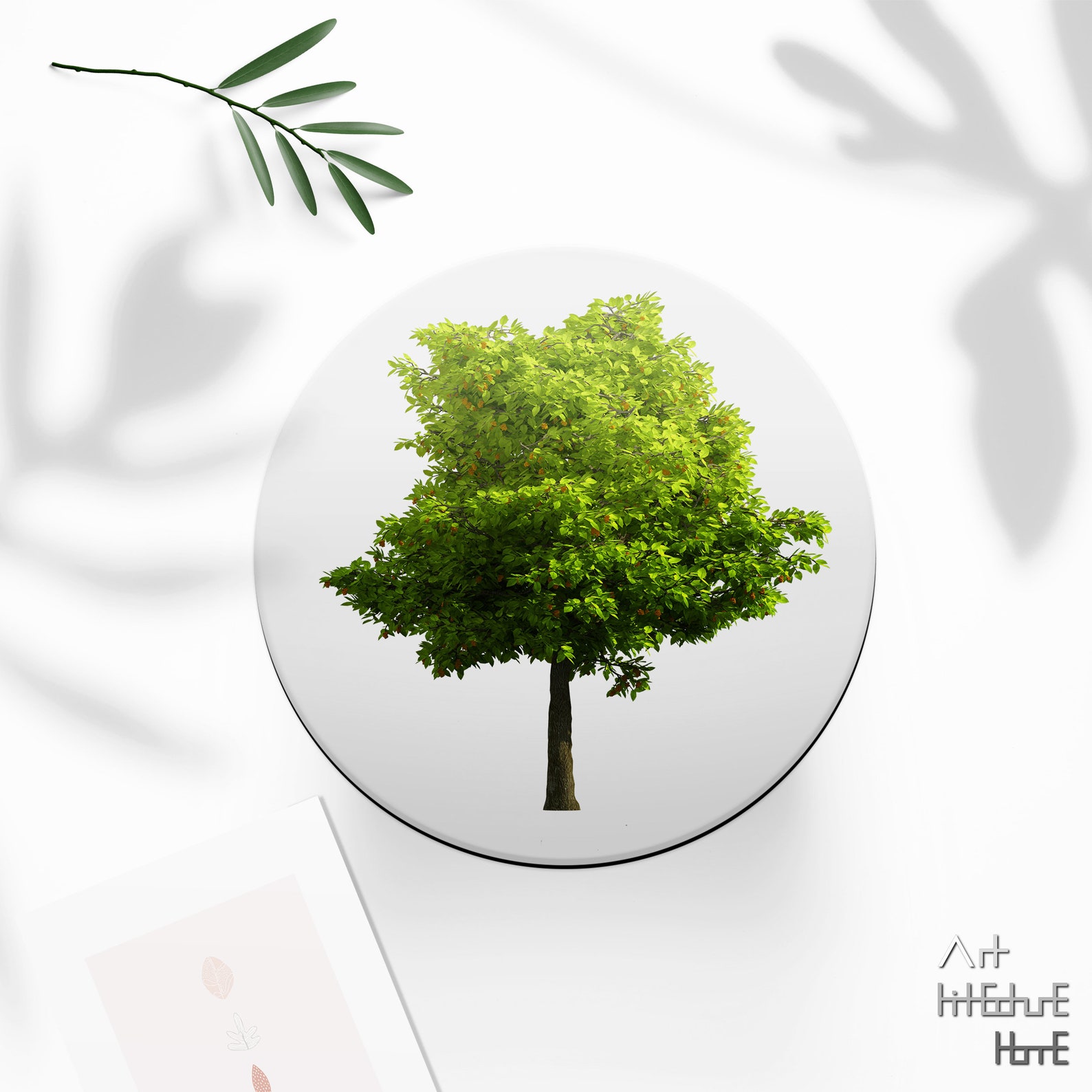 Real Leichhardt Pine Tree Cliparts, Tree Photoshop Overlays, Maple ...
