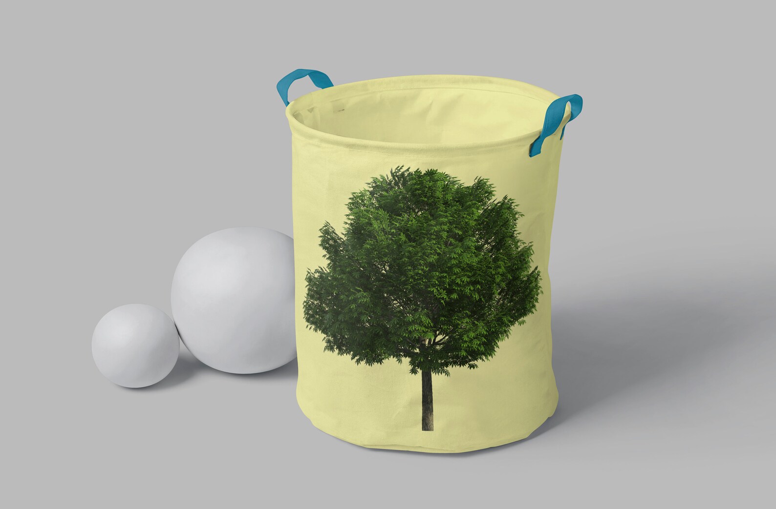 Real Ash Tree Cliparts, Realistic Ash Overlay Bundles Png, Tree ...