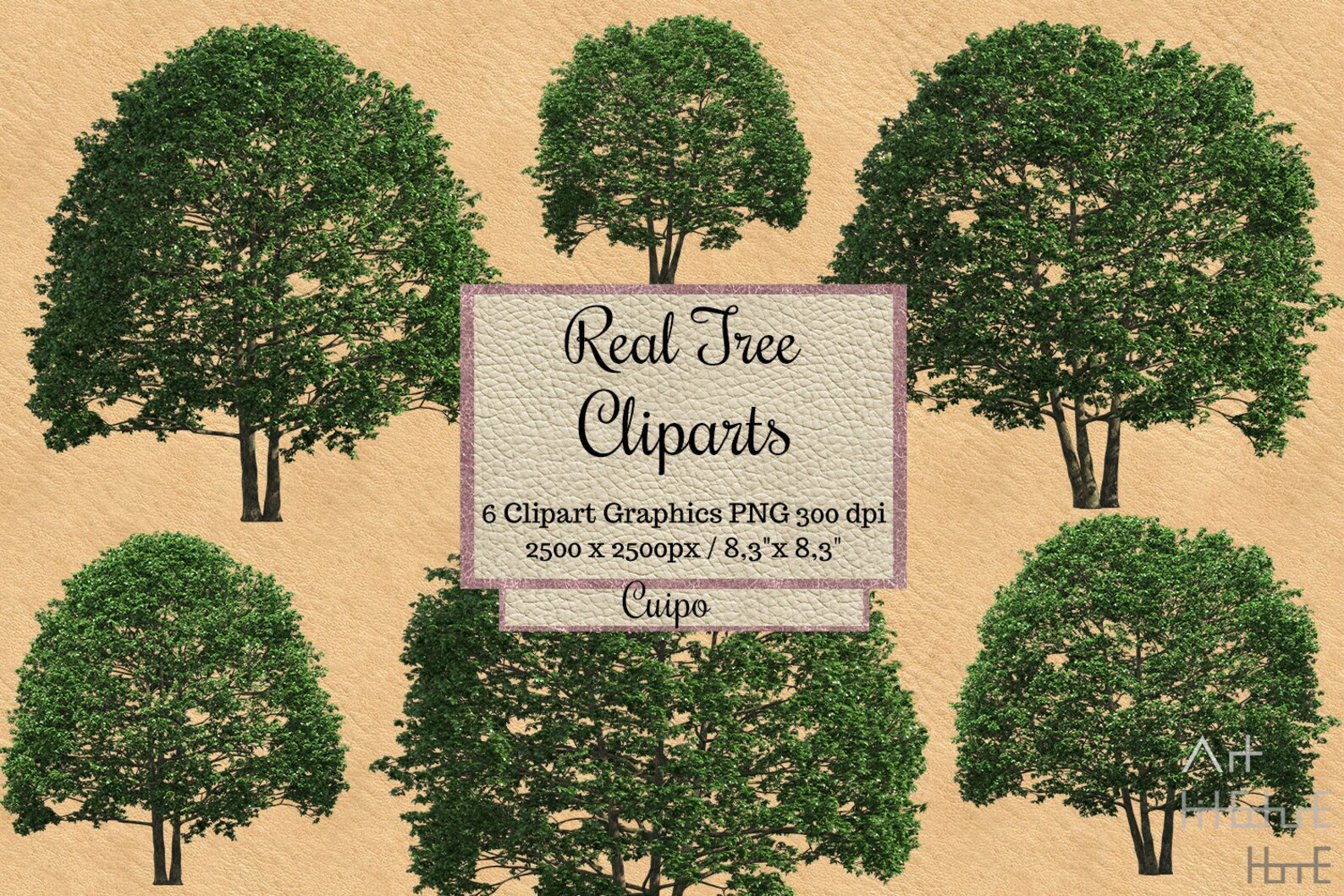 48 Real Tree Cliparts, Spring Trees Png, Realistic Look Whole Sale Tree ...