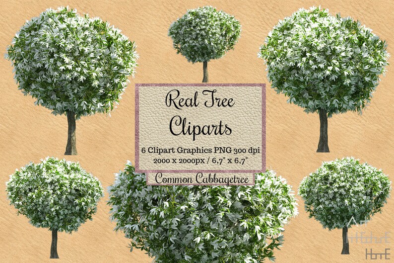 48 Real Tree Cliparts, Photoshop Overlay, Landscape Layout, Garden ...