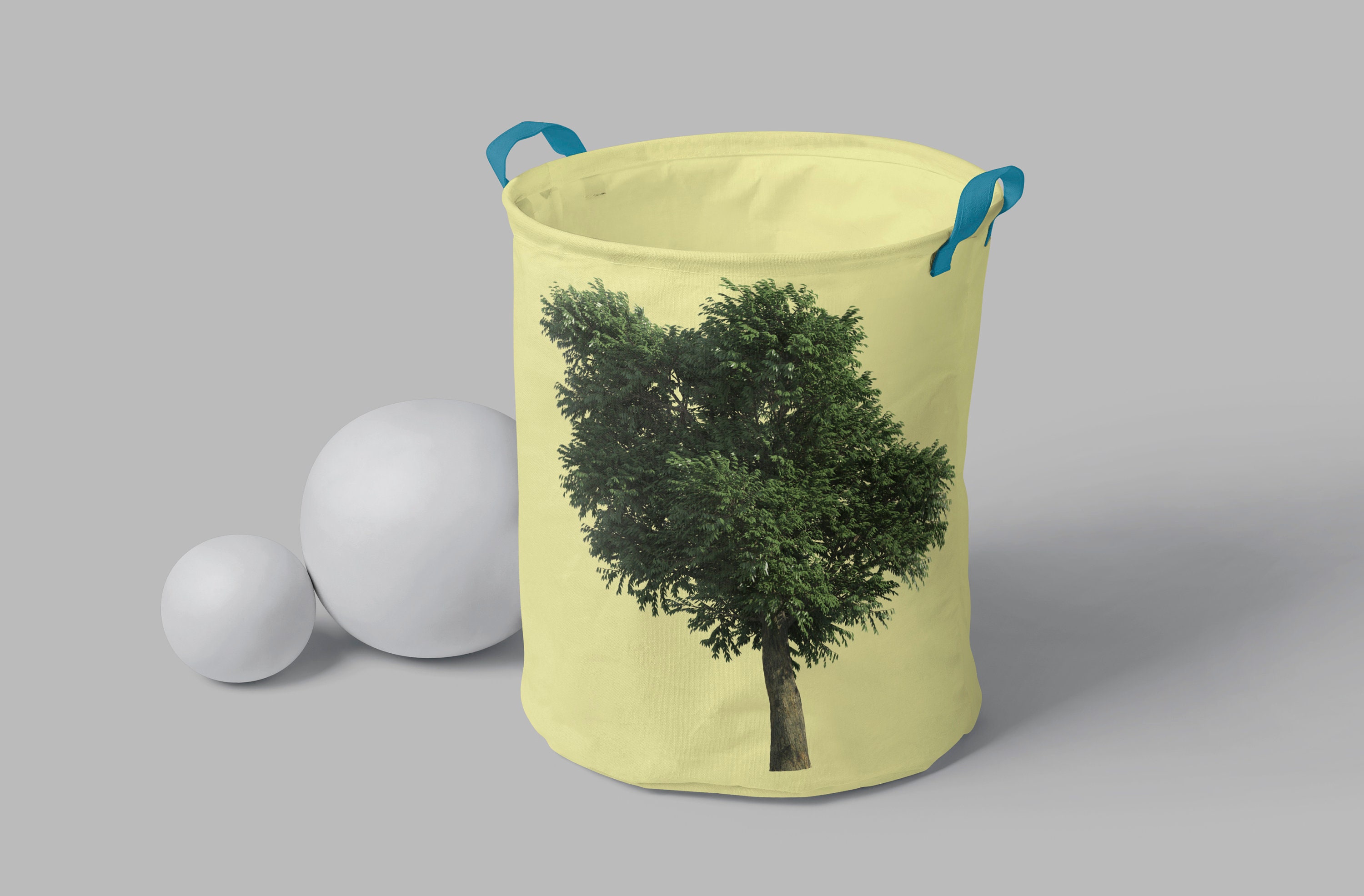 Real Cedar Tree Cliparts, Spanish Cedar Overlay Png, Realistic Look ...