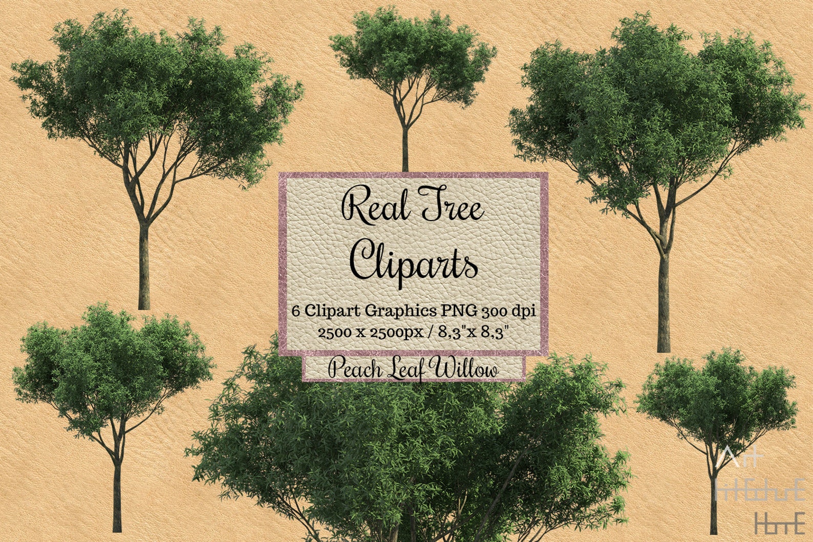 48 Real Tree Overlays Png, Landscape Transparent Cliparts Background ...