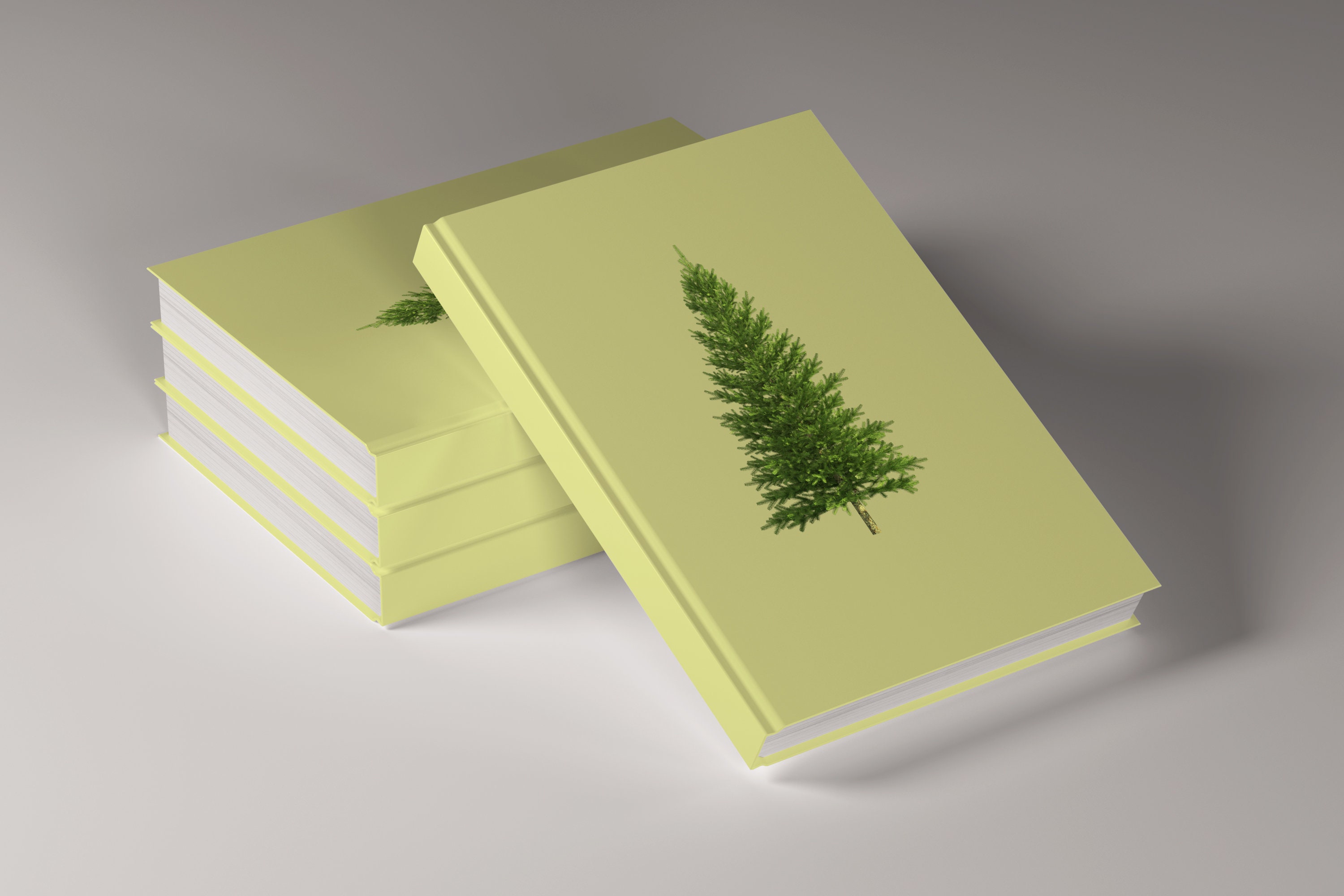 Real Fir Tree Cliparts, Siberian Tree Overlays Png, Realistic Look ...