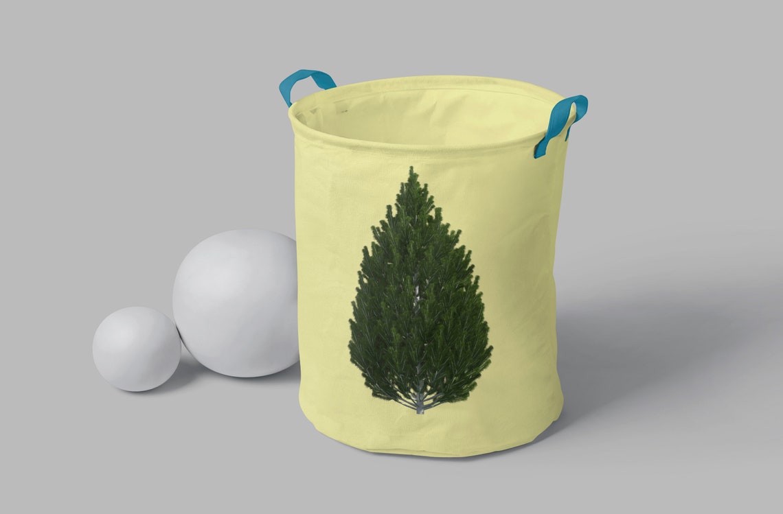 Real Hoop Pine Tree Cliparts, Realistic Tree Overlays Png, Spring Tree ...