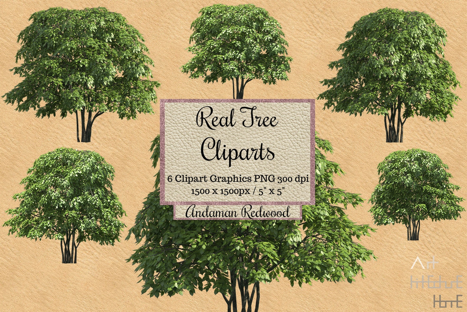 48 Real Tree Clipart, Photoshop Overlays, Garden Landscape Layout ...