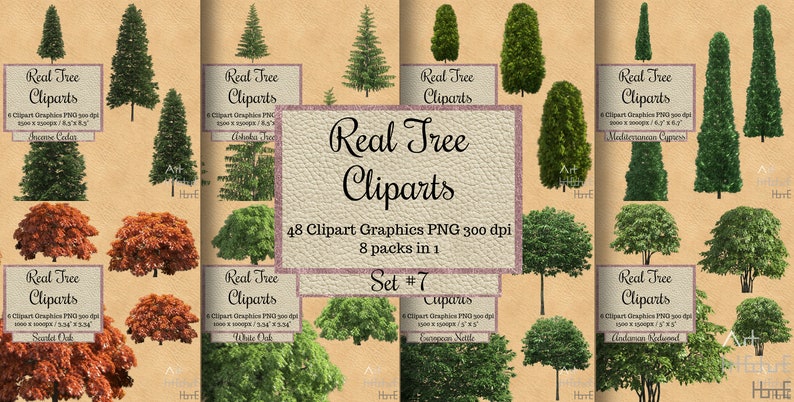 48 Real Tree Clipart, Photoshop Overlays, Garden Landscape Layout ...