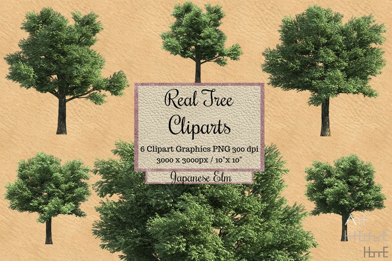 48 Real Tree Overlays Png, Landscape Transparent Cliparts Background ...