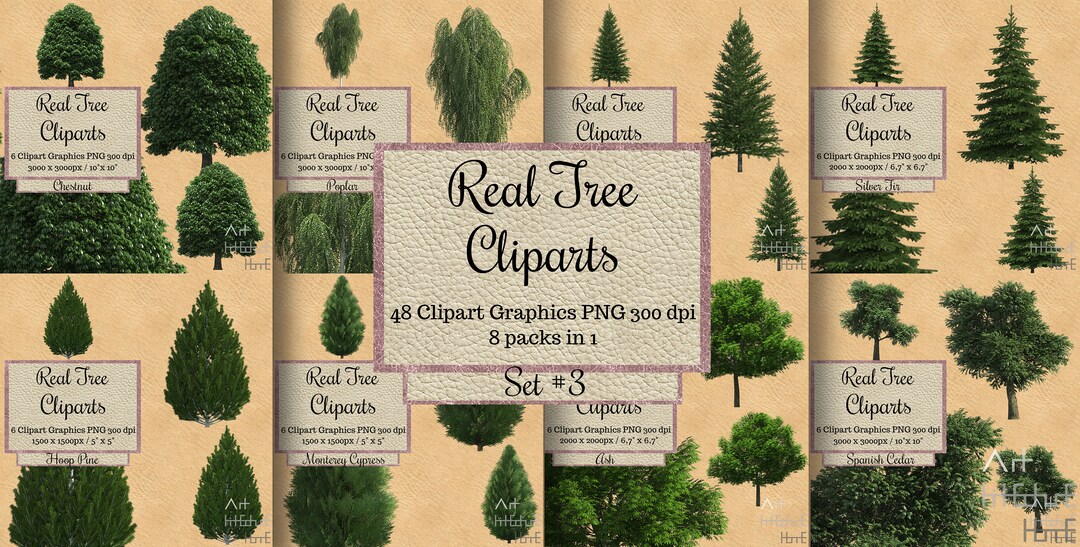 48 Real Tree Cliparts Png Transparent Overlay Background, Spring Trees ...