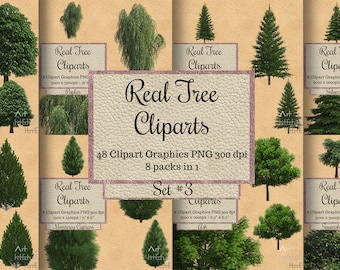 Whole Set Sticker - Etsy