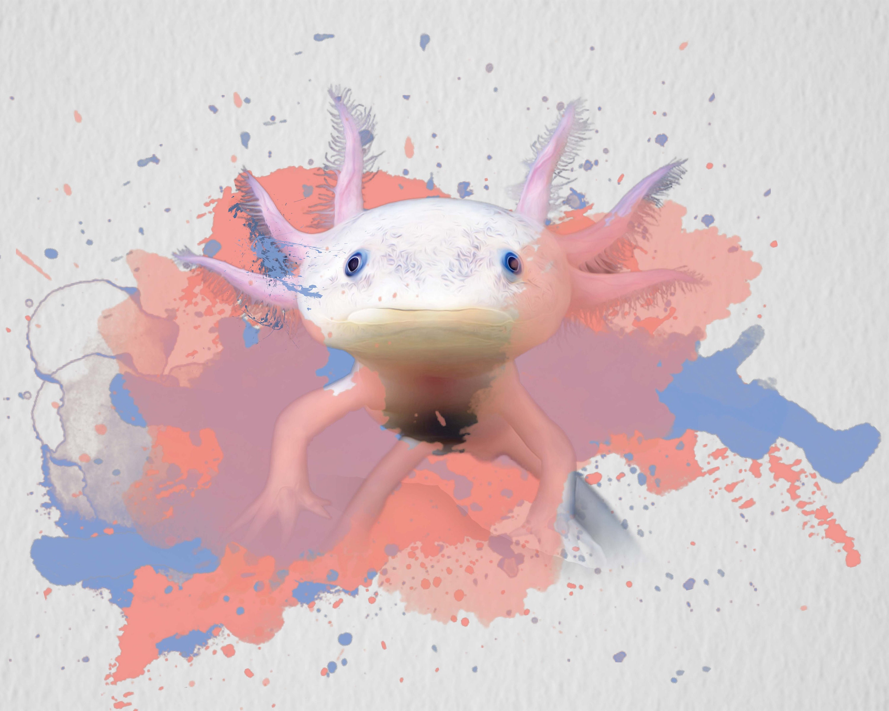 Axolotl Art - Etsy