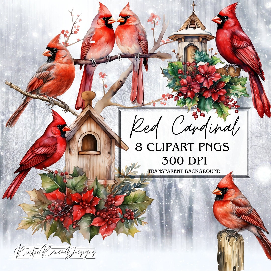 Red Cardinal Clipart Png, Christmas, Holiday, Festive, Templates ...