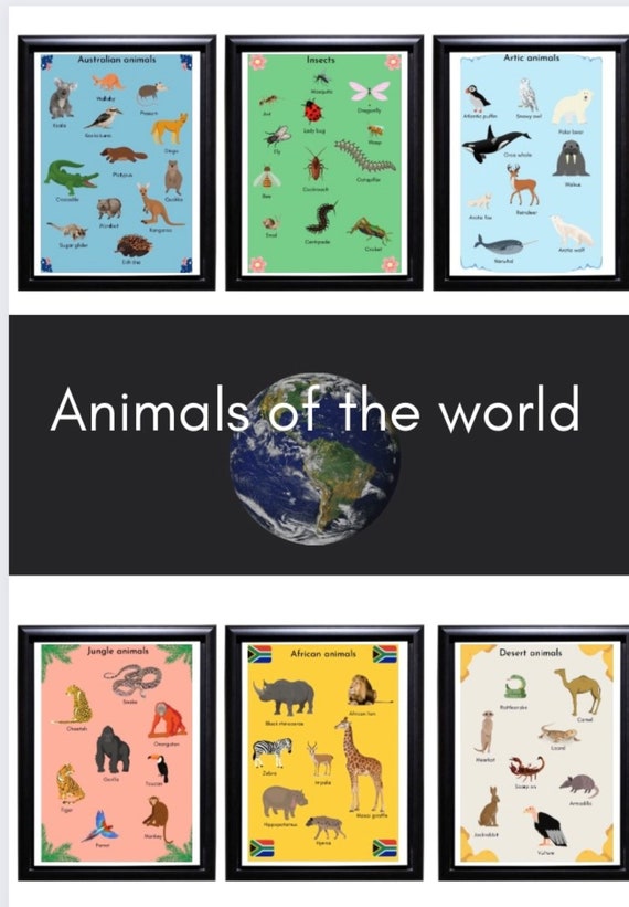 Animals of the World Posters - Etsy