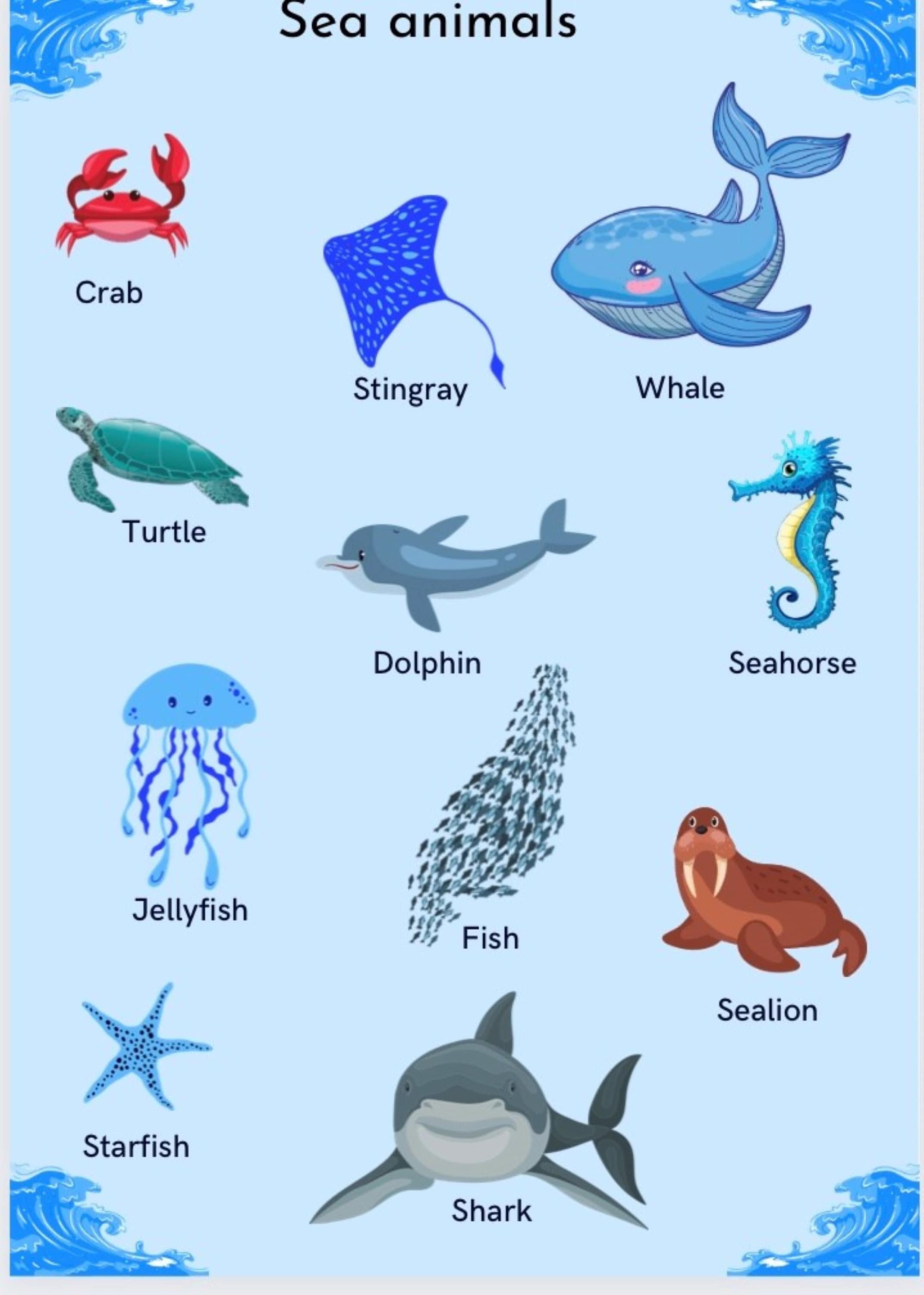 Animals of the World Posters - Etsy