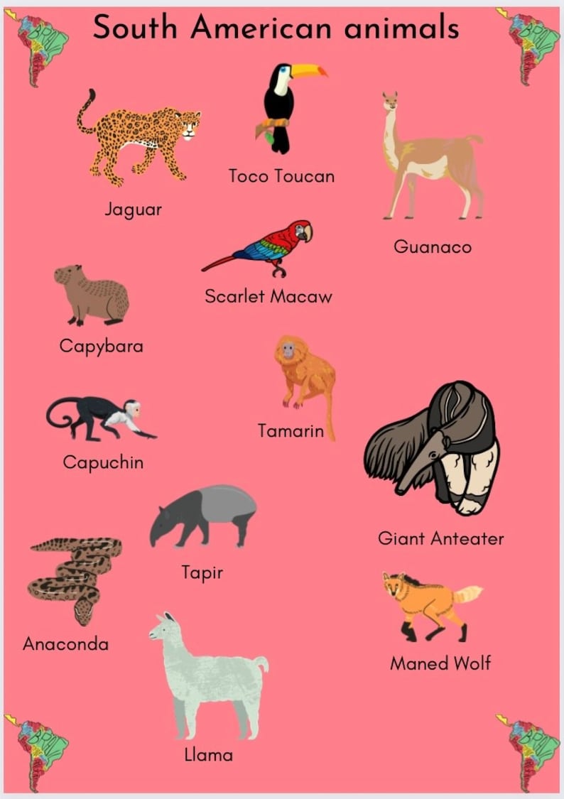 Animals of the World Posters - Etsy
