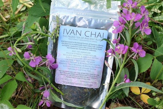 Traditional Ivan Chai Tea Hand Rolled Wild Sun Dried Herbal - Etsy