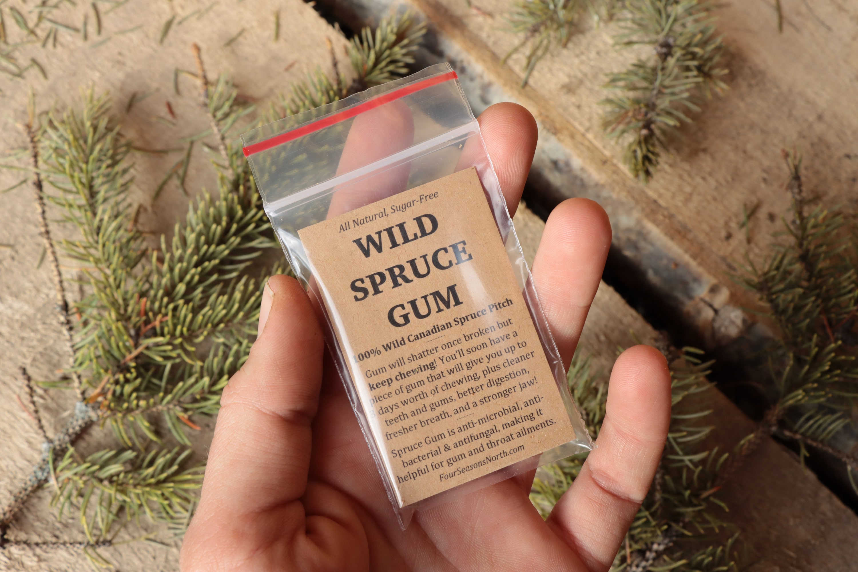 Spruce Chewing GUM: Wild Sugar Free All Natural Old - Etsy Ireland