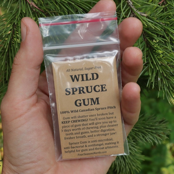 Spruce Gum - Etsy