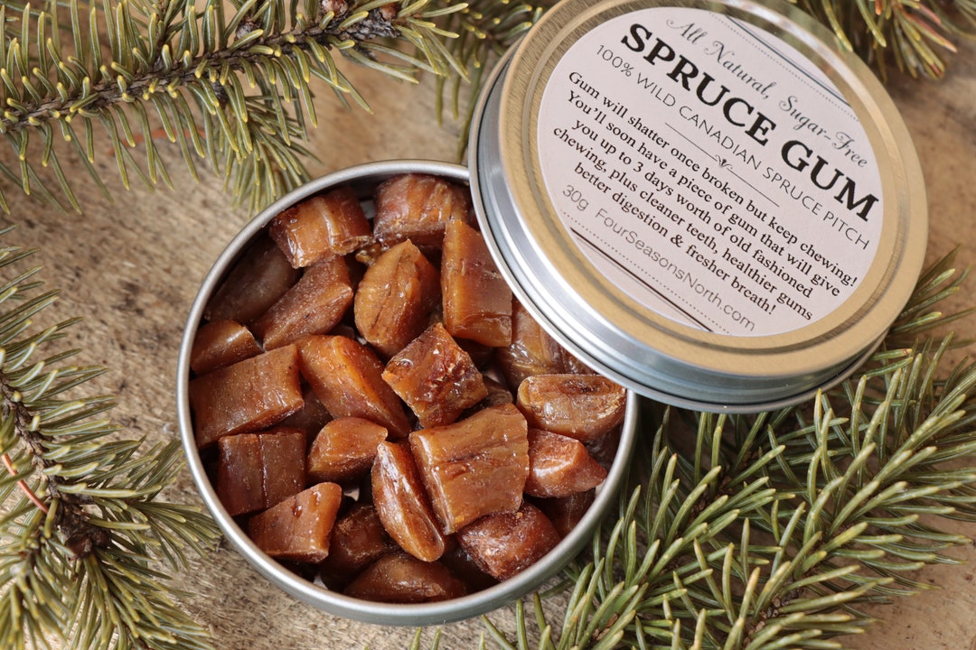30g Spruce Chewing GUM: Sugar Free, All Natural, Old Fashioned, Cowboy ...