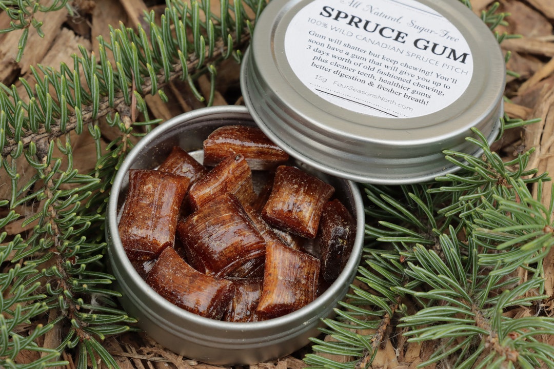 15g Spruce Chewing GUM: Sugar Free, All Natural, Old Fashioned, Cowboy ...