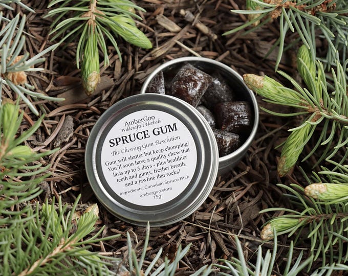 15g Spruce Chewing GUM: Sugar Free, All Natural, Old Fashioned, Cowboy ...