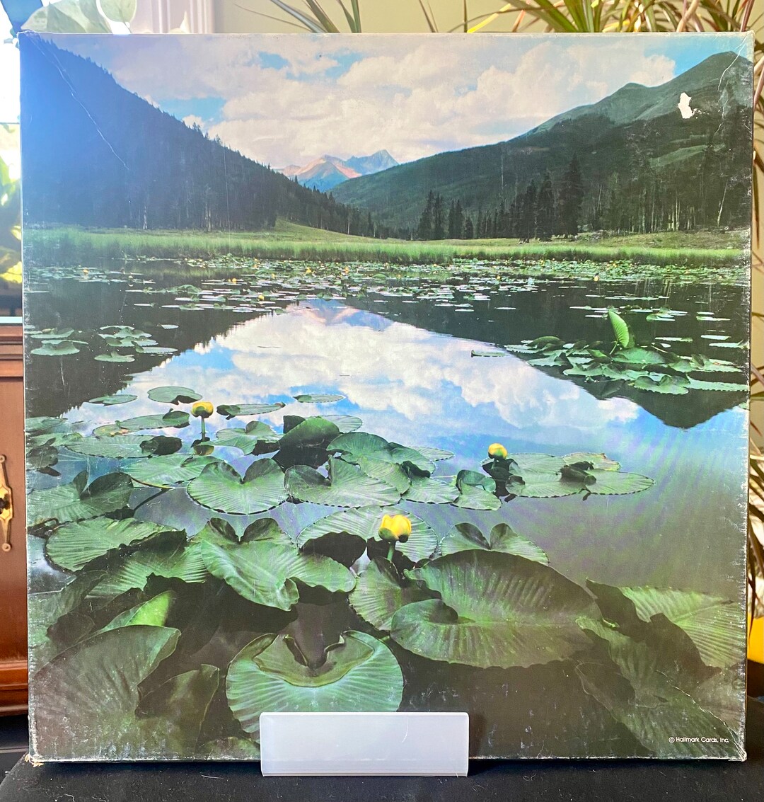 1981 Vintage Springbok Nature Puzzle Mirror Lake 500 Pieces - Etsy