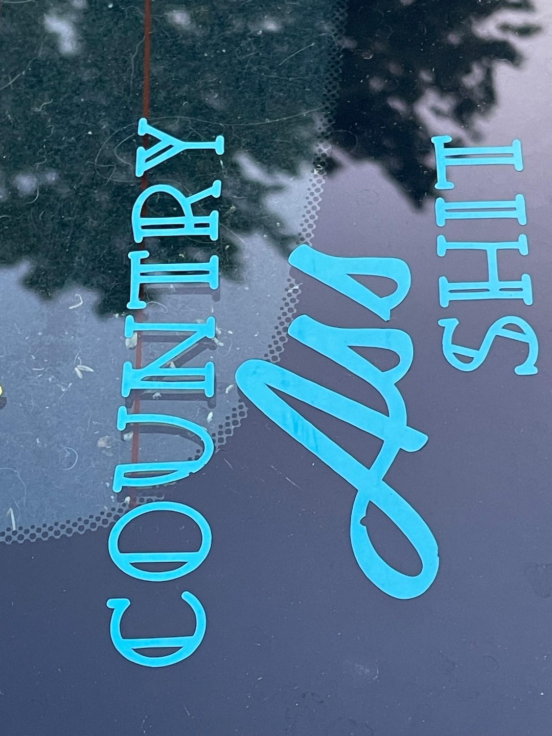Morgan Wallen "country Ass Shit" Decal - Etsy