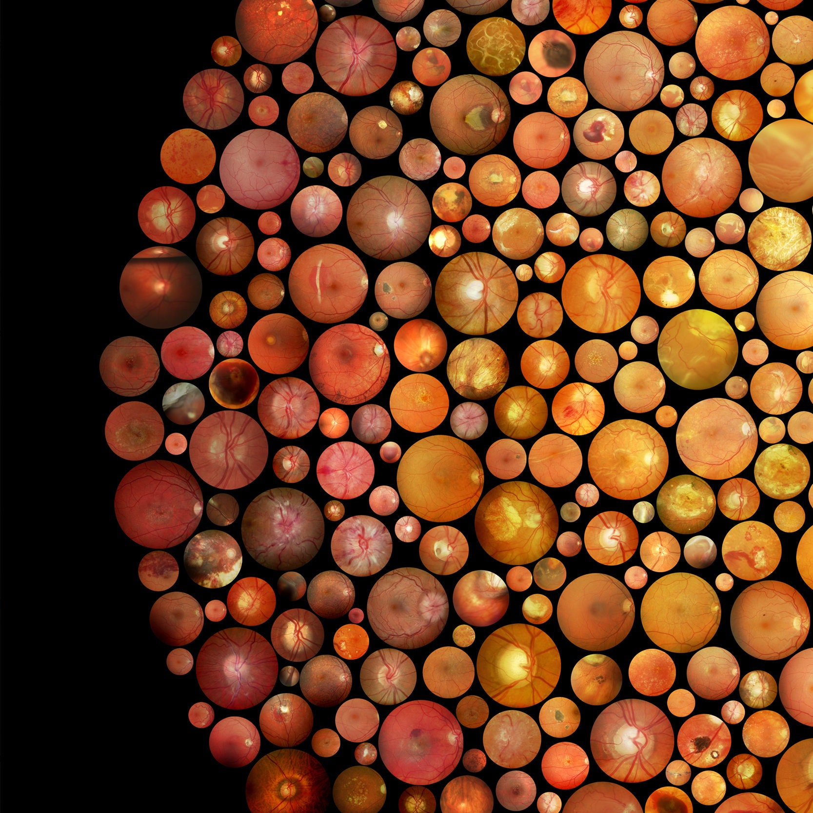 Ishihara Artwork (digital Version) - Etsy