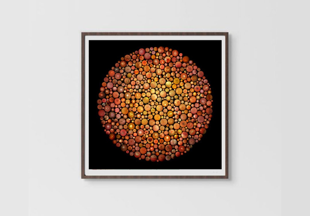Ishihara Artwork (digital Version) - Etsy
