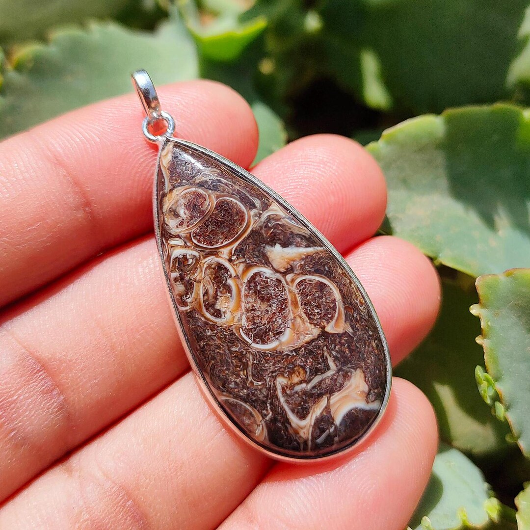 Turritella Fossil Pendant, 925 Sterling Silver Pendant, Turritella ...