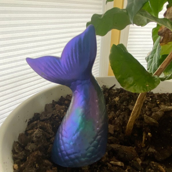 Mermaid Tail Plant - Etsy
