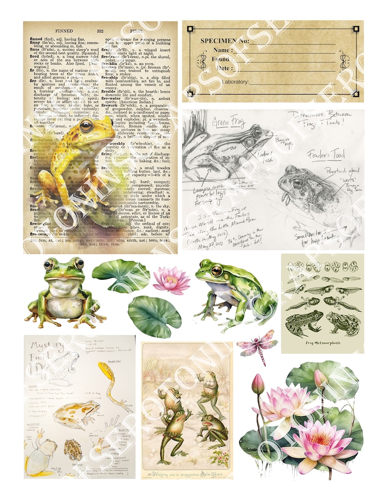 Junk Journal Ephemera, Frog, Scrapbook Digital Download, Journaling ...