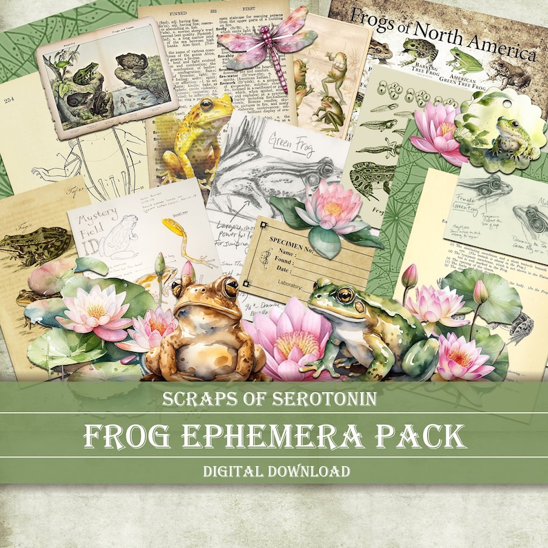 Junk Journal Ephemera, Frog, Scrapbook Digital Download, Journaling ...