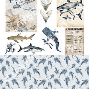 Junk Journal Ephemera, Shark, Collage, Scrapbooking Digital Download ...
