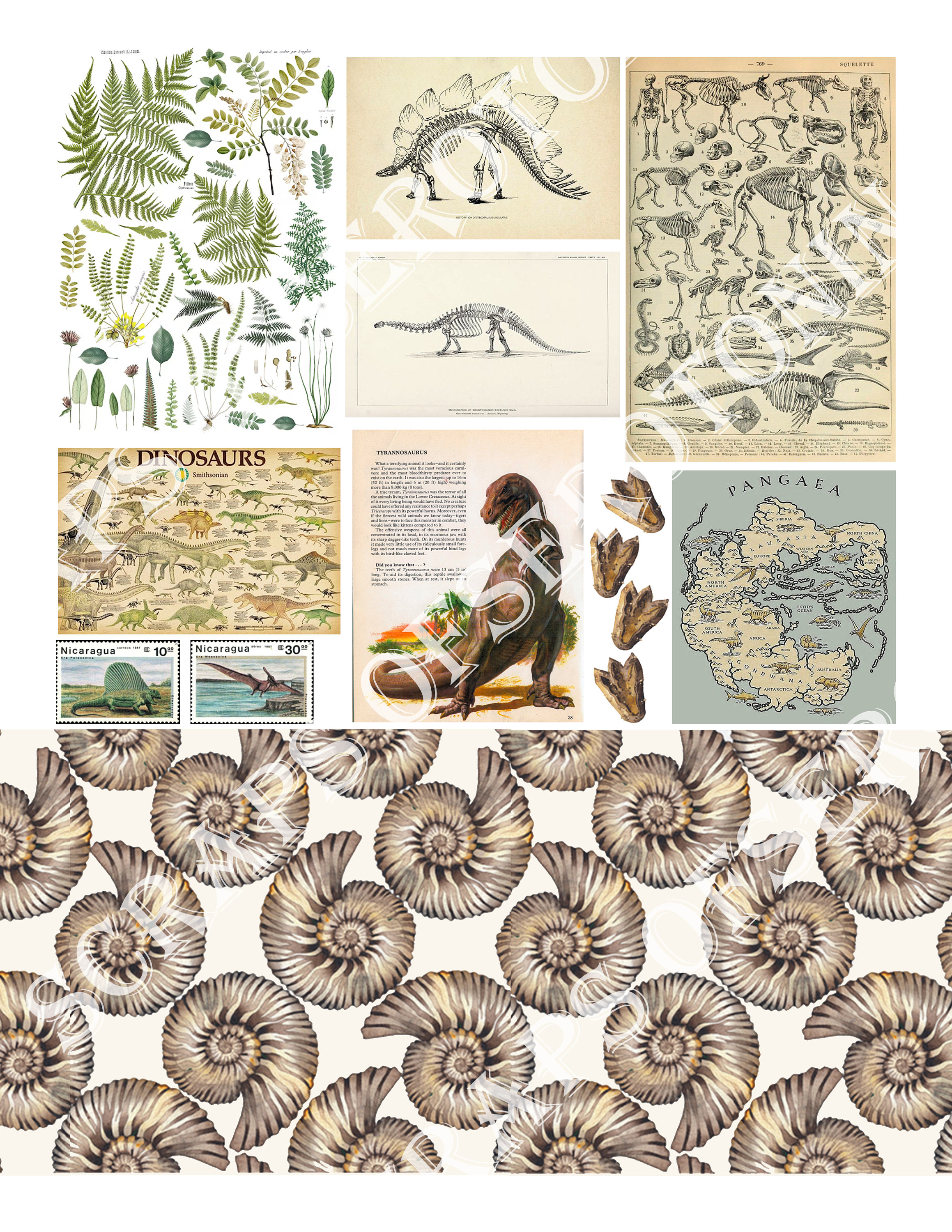 Junk Journal Ephemera, Dinosaurs, Scrapbook Kit, Printable, Digital ...