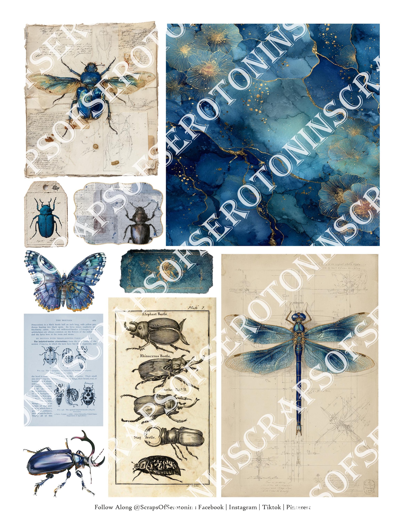 Jeweled Insects Junk Journal Kit, Entomology Ephemera, Moths Beetles ...
