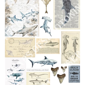 Junk Journal Ephemera, Shark, Collage, Scrapbooking Digital Download ...