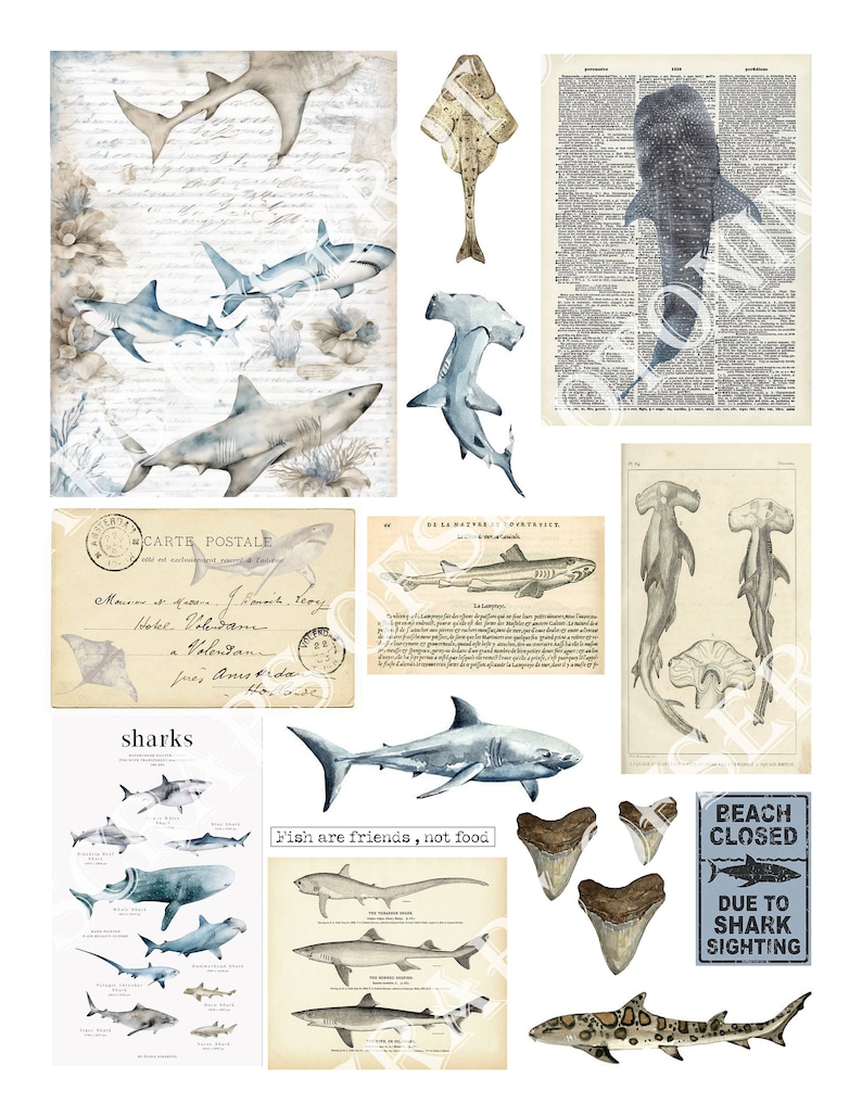 Junk Journal Ephemera, Shark, Collage, Scrapbooking Digital Download ...
