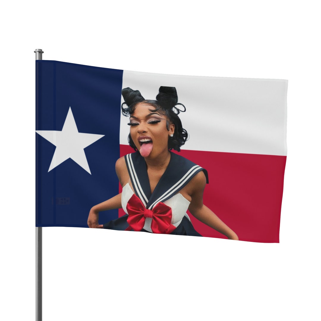 Megan Thee Stallion Texas Flag Funny Meme Wall Tapestries College Dorm ...