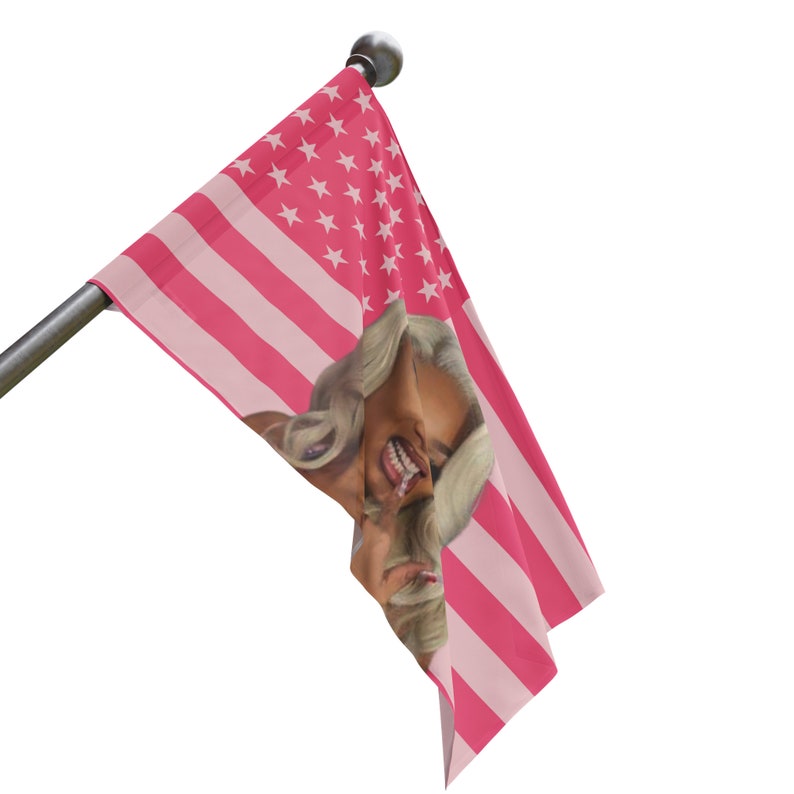 Megan Thee Stallion Pink American Flag Funny Meme Wall Tapestries ...