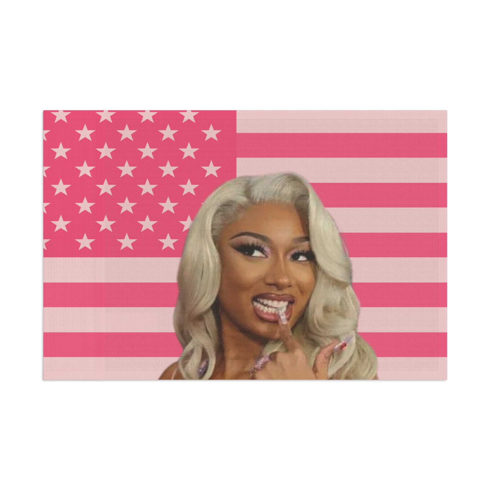 Megan Thee Stallion Pink American Flag Funny Meme Wall Tapestries ...