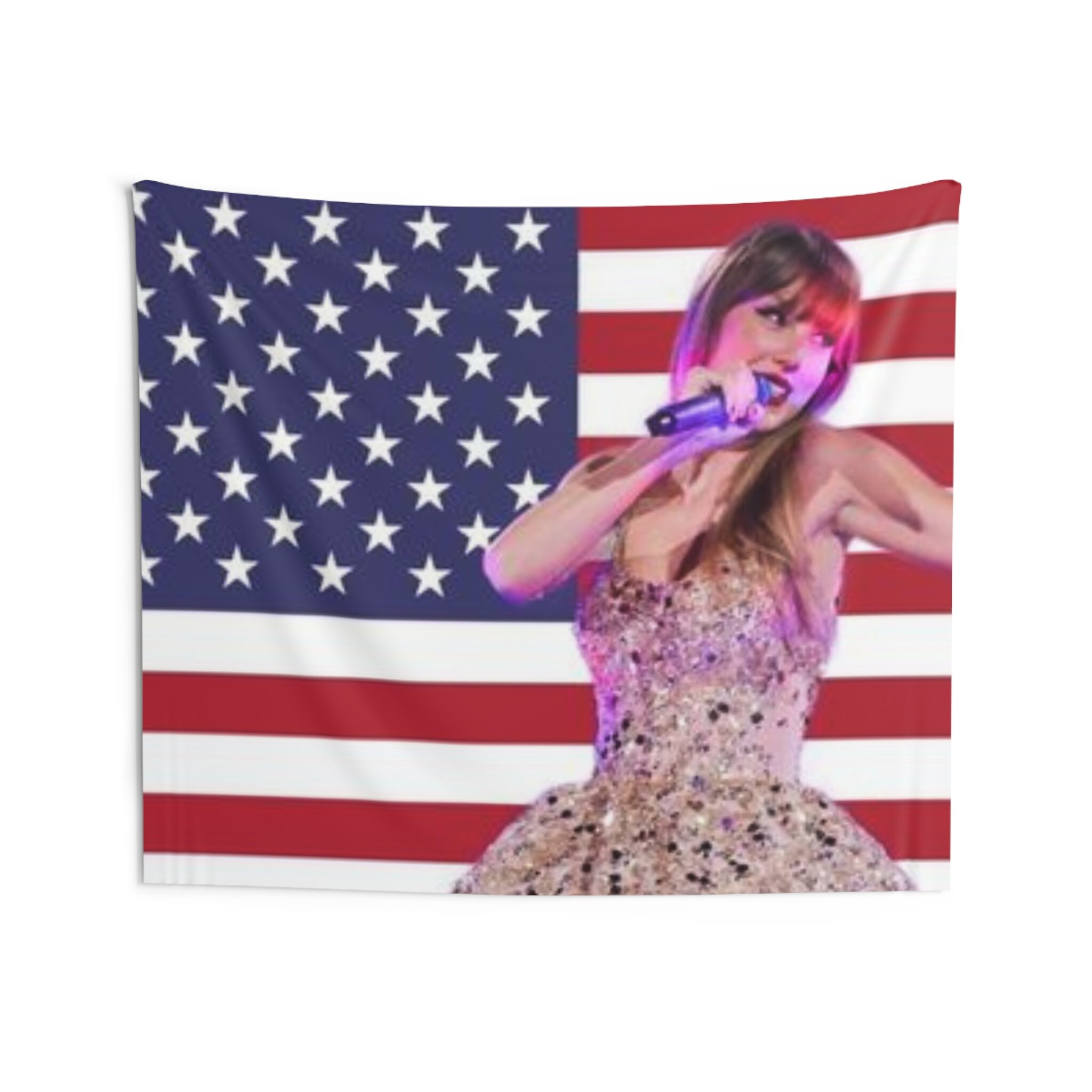 Taylor Swift American Flag Funny Meme College Dorm Room Decor Wall ...