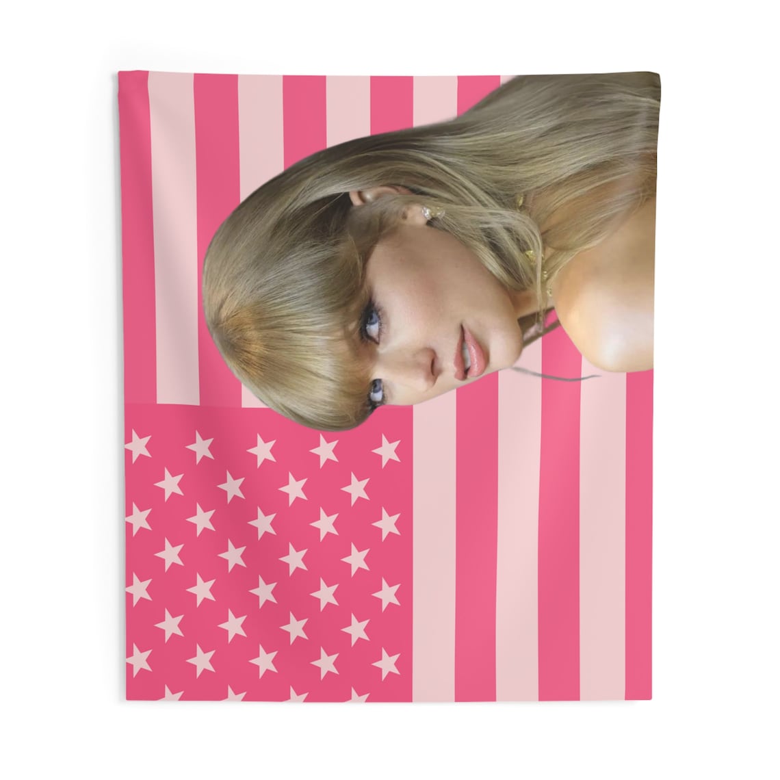 Taylor Swift Pink American Flag Funny Meme College Dorm Room Decor Wall ...