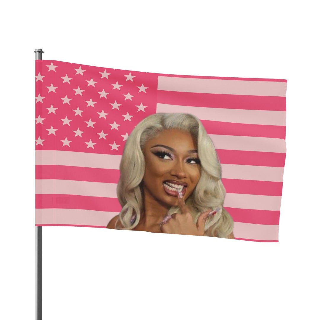 Megan Thee Stallion Pink American Flag Funny Meme Wall Tapestries ...