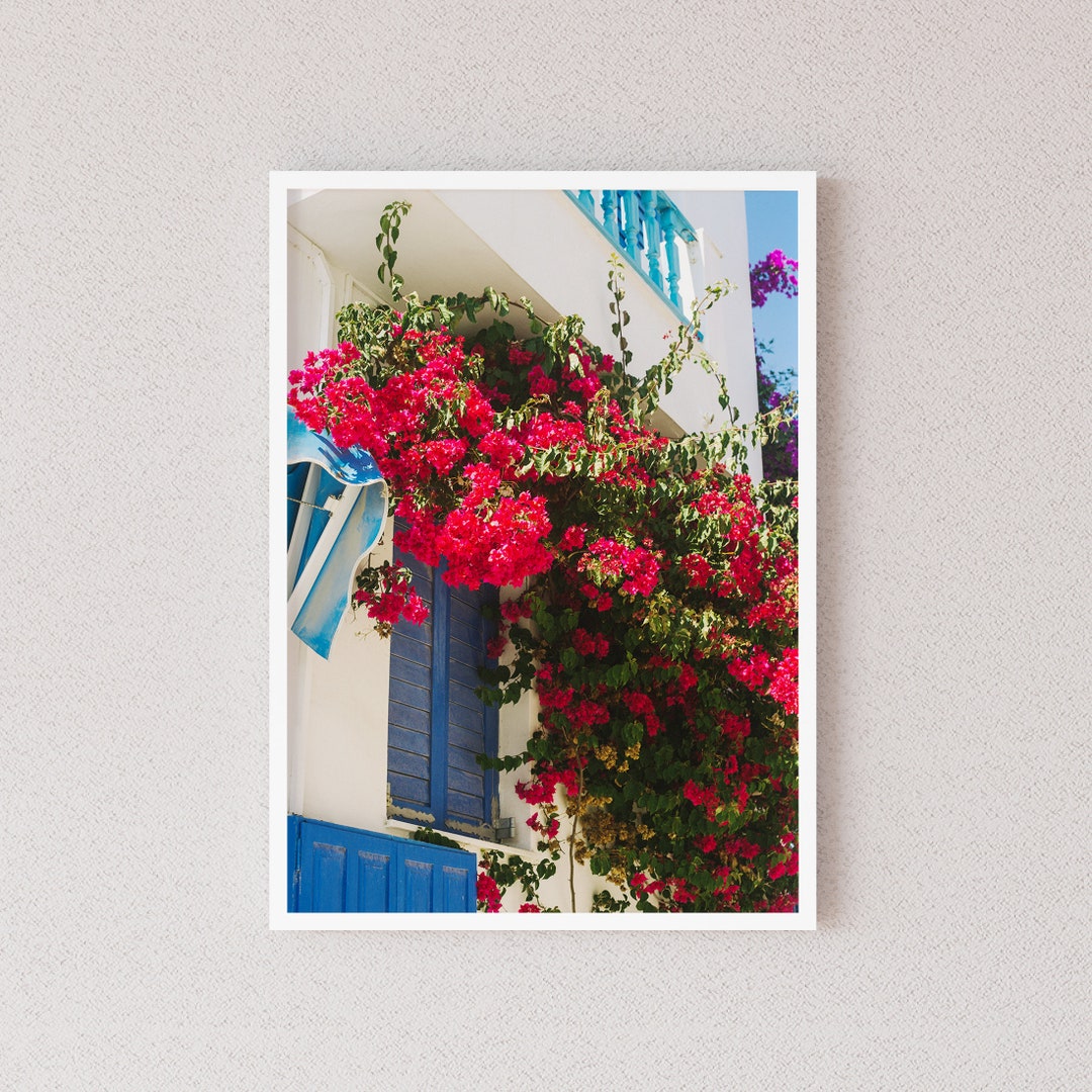 Bougainvillea Digital Print, Red Flower Poster, Greek Bougainvillea ...