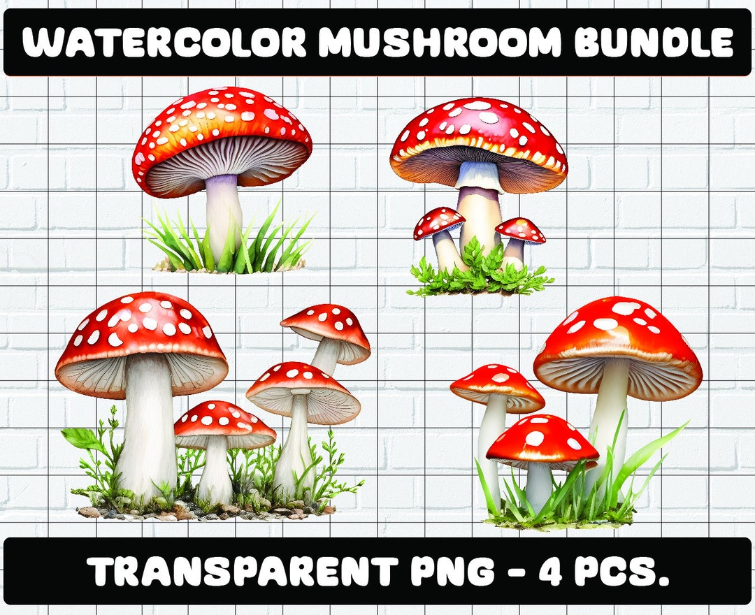 Watercolor Mushroom Clipart Bundle Painted Mushrooms Set Watercolor ...