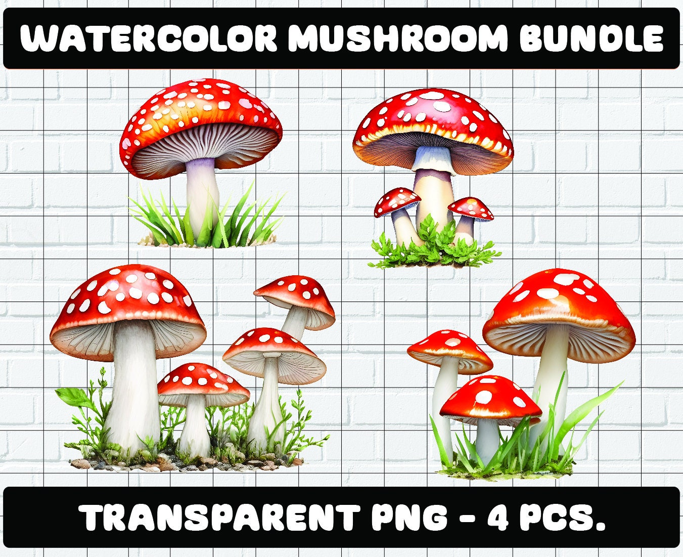 Watercolor Mushroom Clipart Bundle Painted Mushrooms Set - Etsy